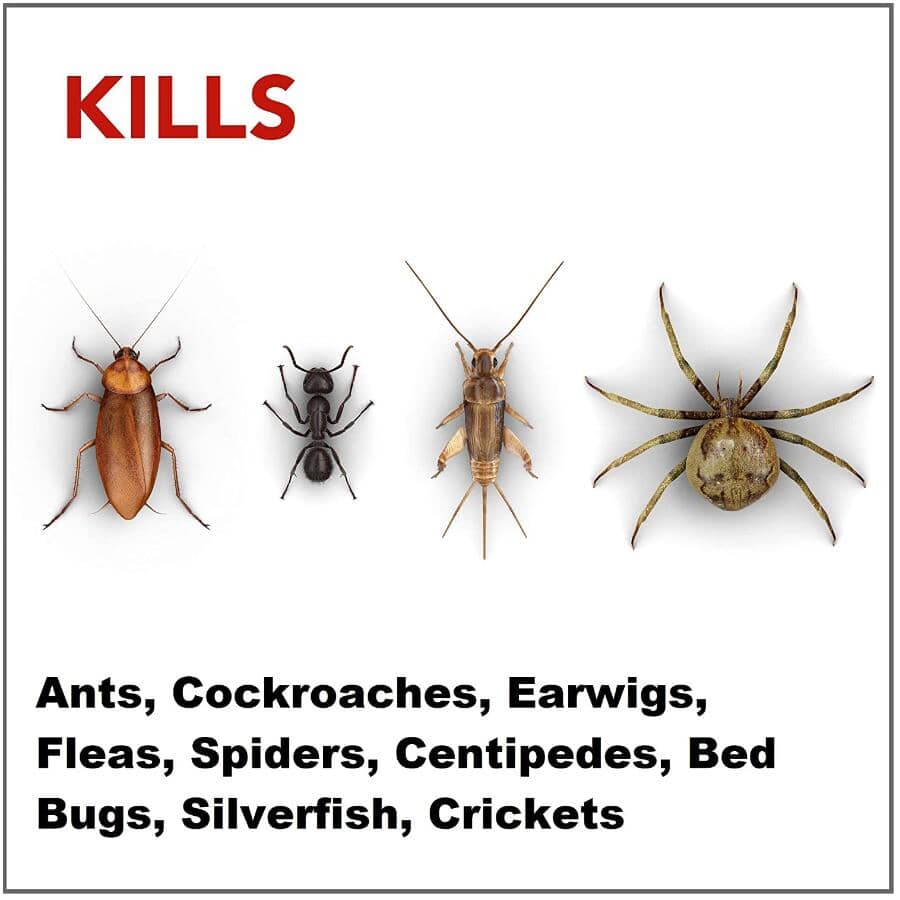 RAID Ant, Roach and Earwig Killer Spray | Home Hardware