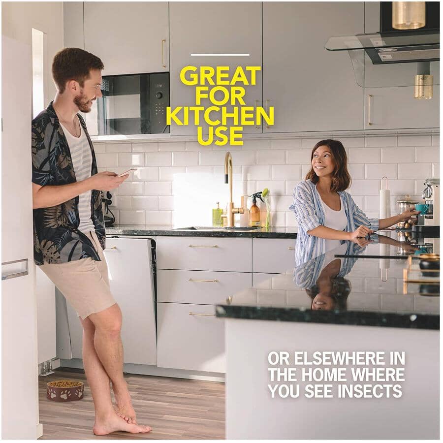 RAID Ant, Roach and Earwig Killer Spray | Home Hardware