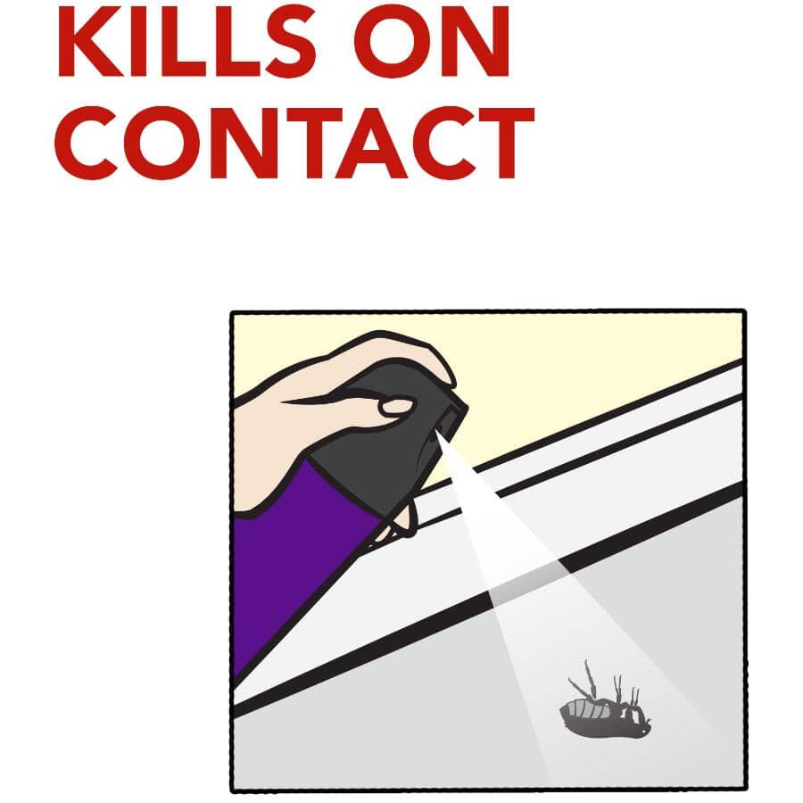 RAID Ant, Roach and Earwig Killer Spray | Home Hardware