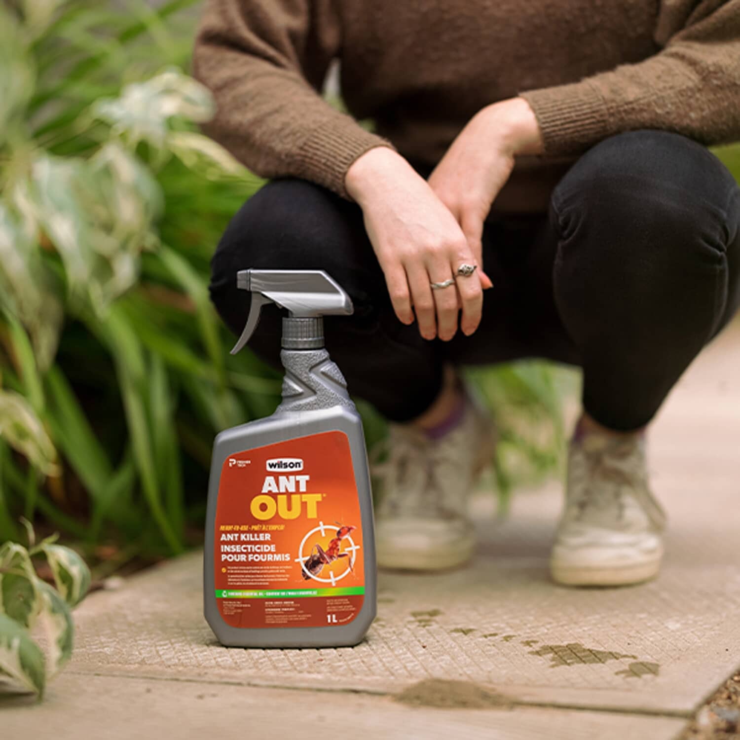 WILSON AntOut Indoor & Outdoor Ant Killer | Home Hardware