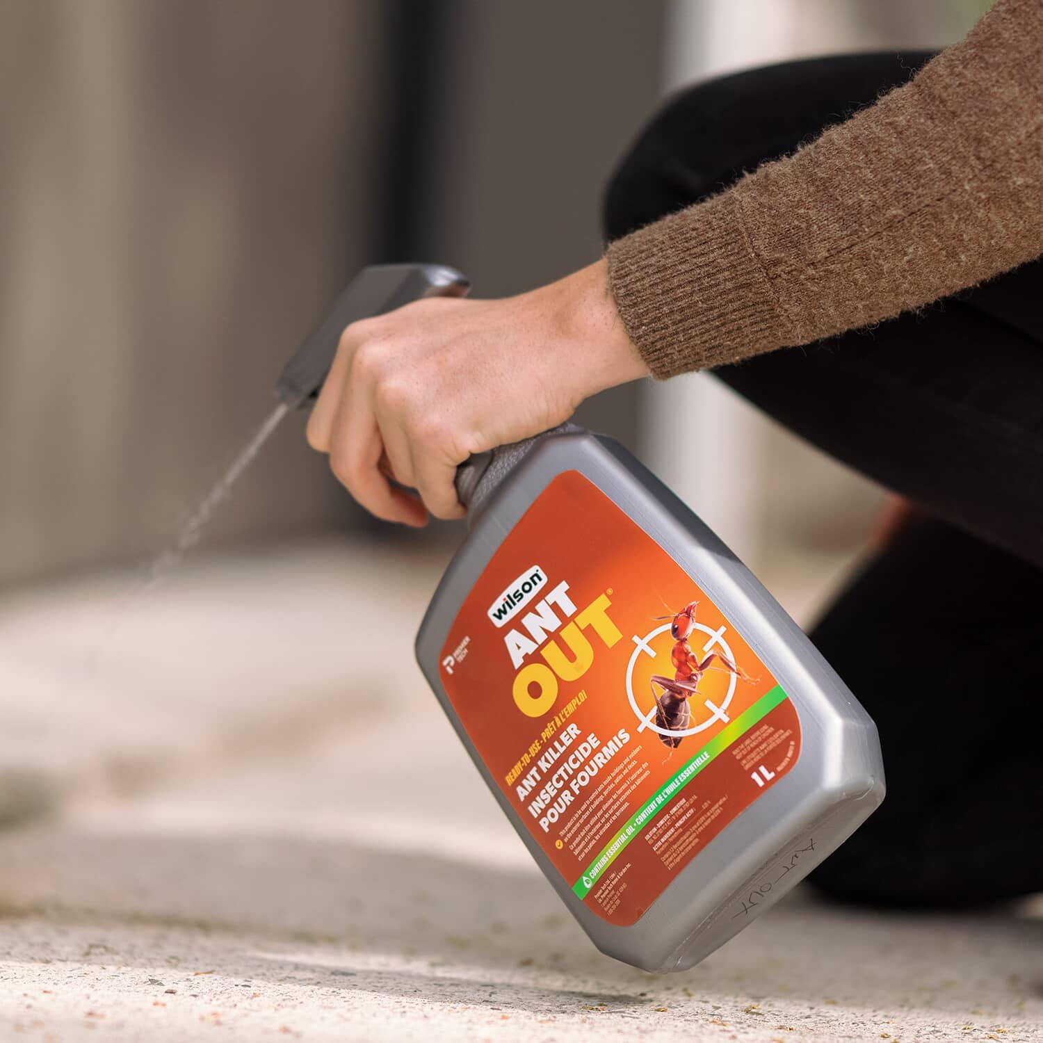 WILSON AntOut Indoor & Outdoor Ant Killer | Home Hardware
