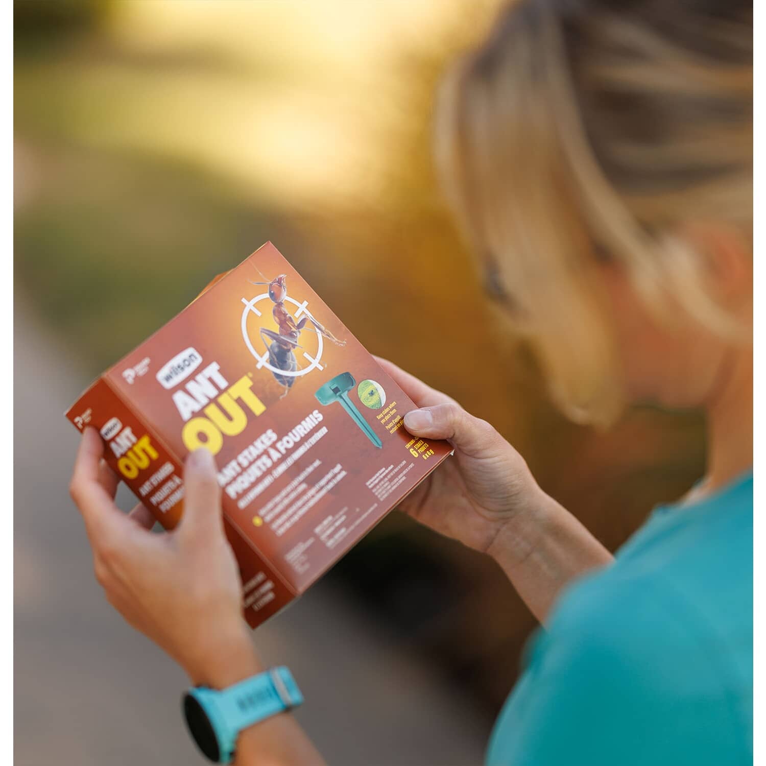 WILSON AntOut Outdoor Ant Stakes - 6 Pack | Home Hardware