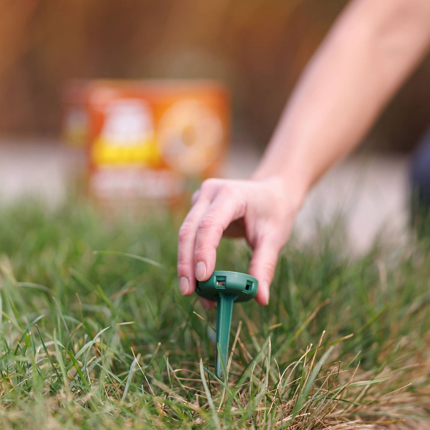 WILSON AntOut Outdoor Ant Stakes - 6 Pack | Home Hardware