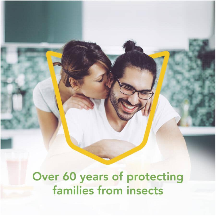 RAID Max Home Insect Killer Spray - 500 g | Home Hardware