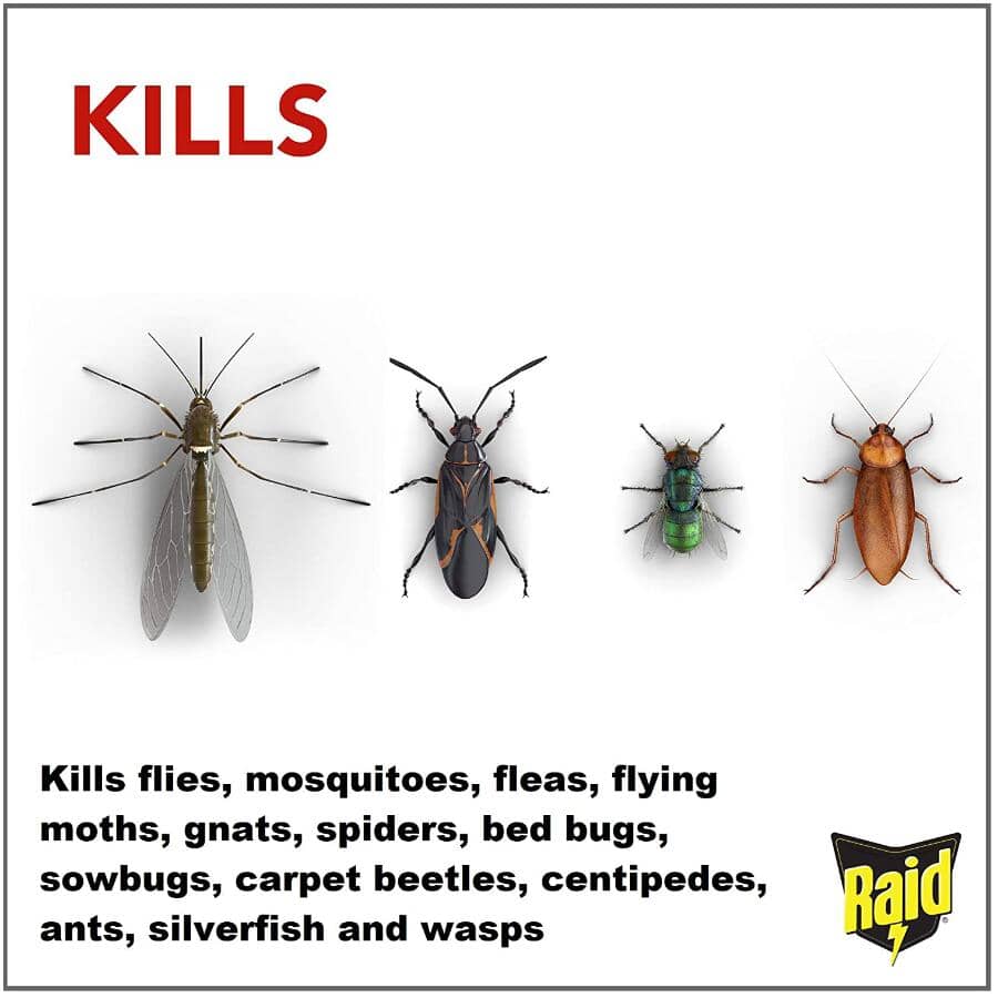 RAID Max Home Insect Killer Spray - 500 g | Home Hardware