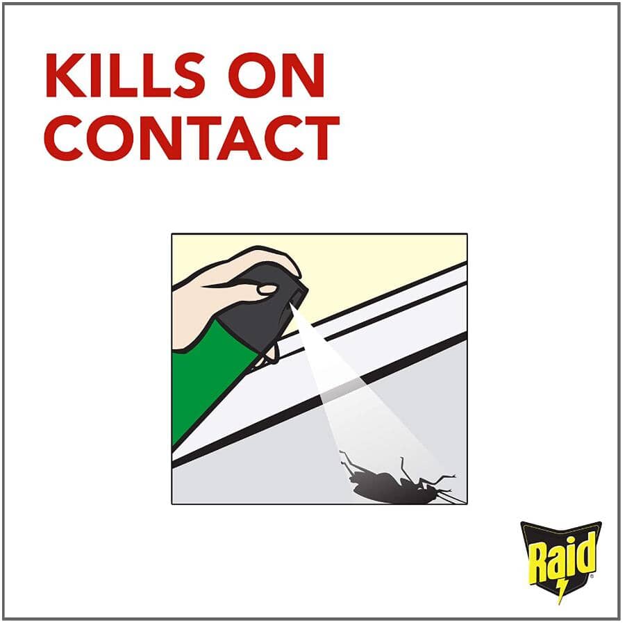 RAID Max Home Insect Killer Spray - 500 g | Home Hardware