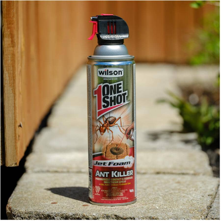WILSON One Shot Ant Nest Foam Killer Spray | Home Hardware