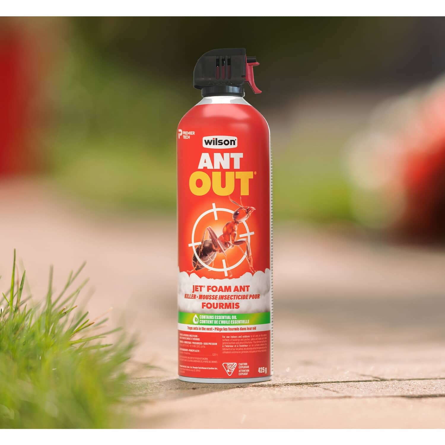 WILSON Ant Jet Foam Killer Spray - 425 g | Home Hardware