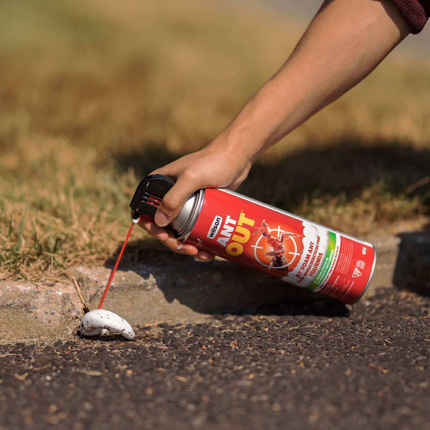 WILSON Ant Jet Foam Killer Spray - 425 g | Home Hardware