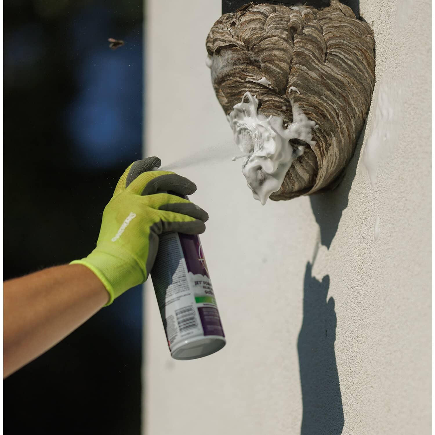 WILSON WaspOUT Jet Foam Aerosol | Home Hardware