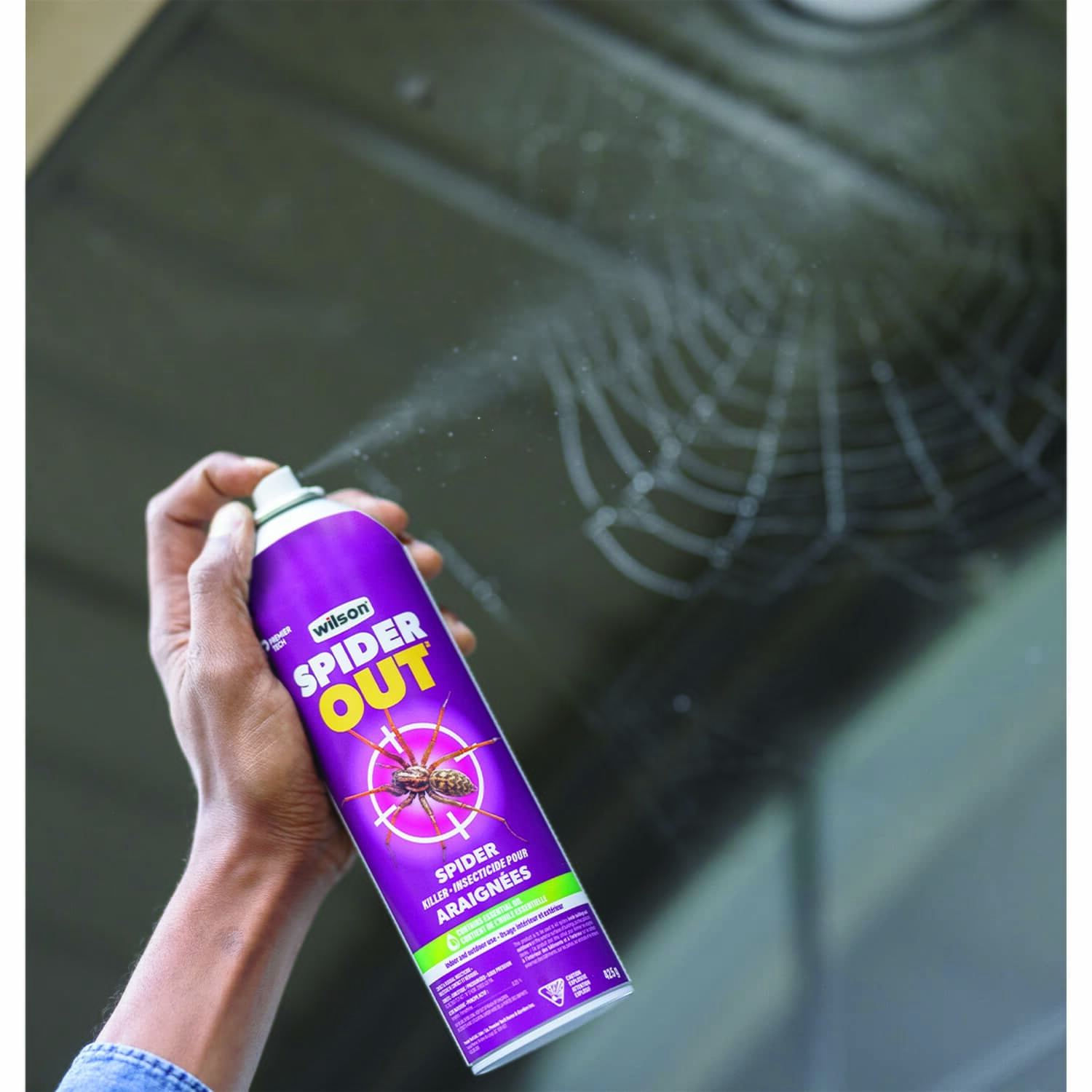 WILSON SpiderOut Spider Killer Aerosol | Home Hardware
