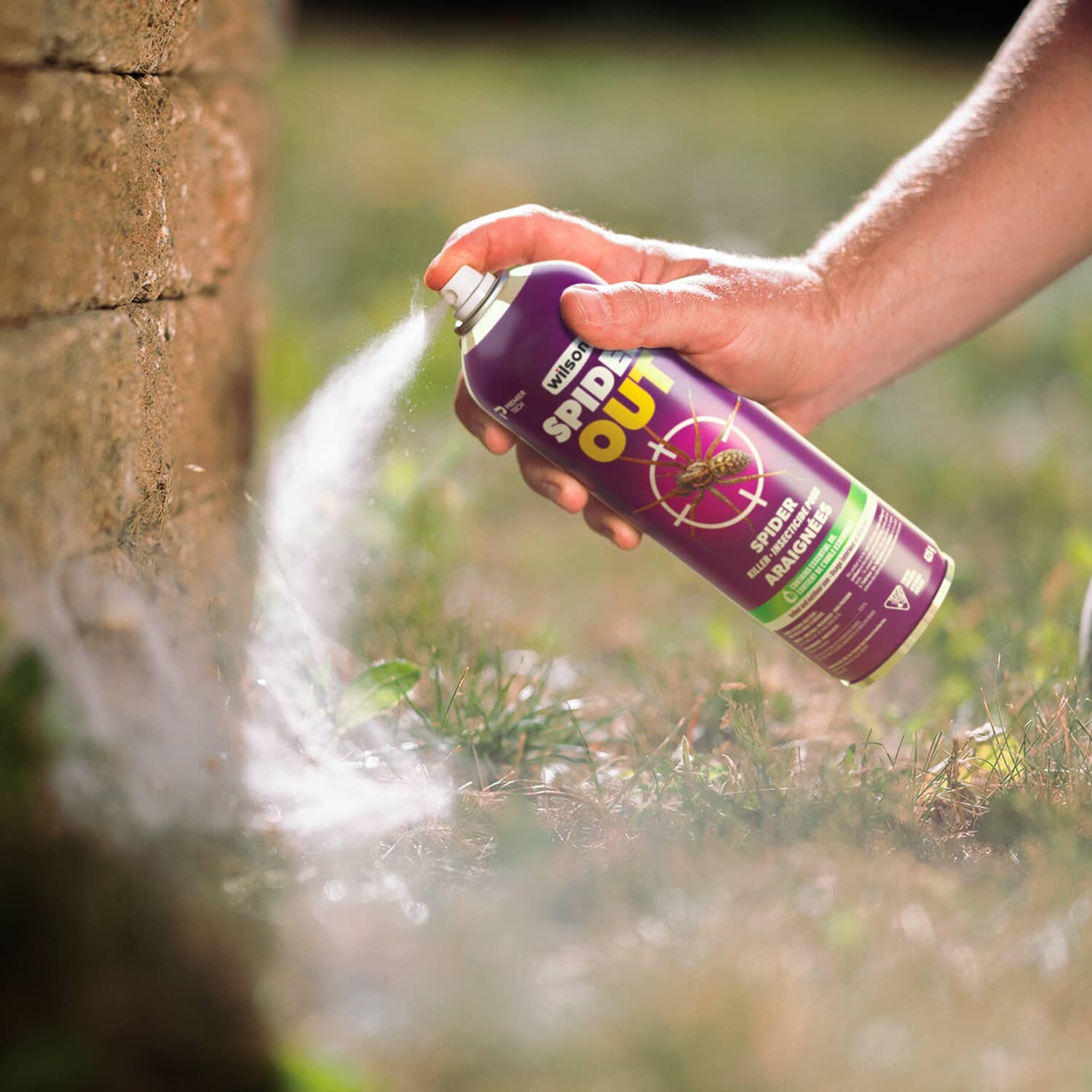 WILSON SpiderOut Spider Killer Aerosol | Home Hardware