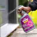 WILSON SpiderOut Spider Killer Spray | Home Hardware
