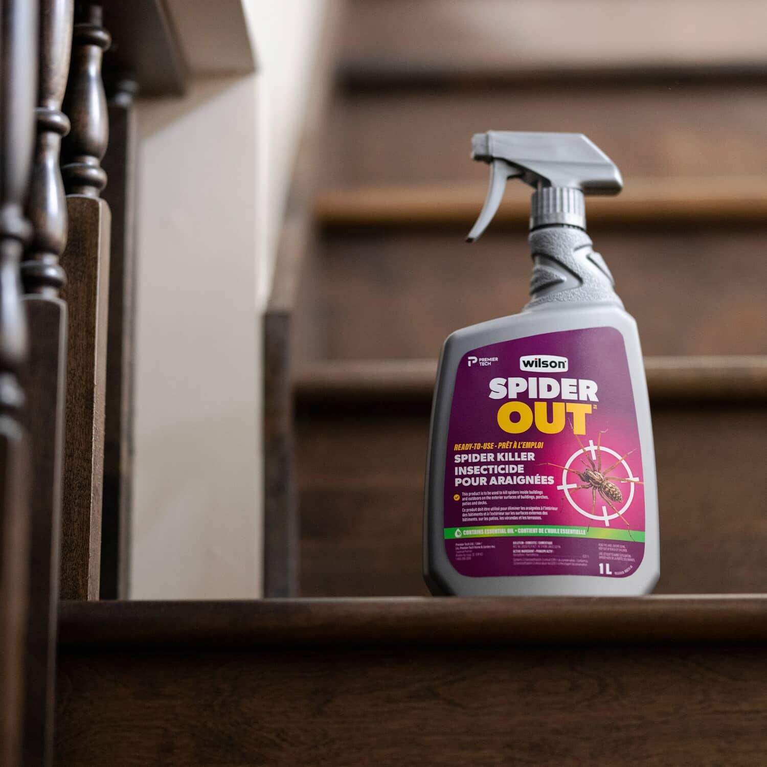 WILSON SpiderOut Spider Killer Spray | Home Hardware