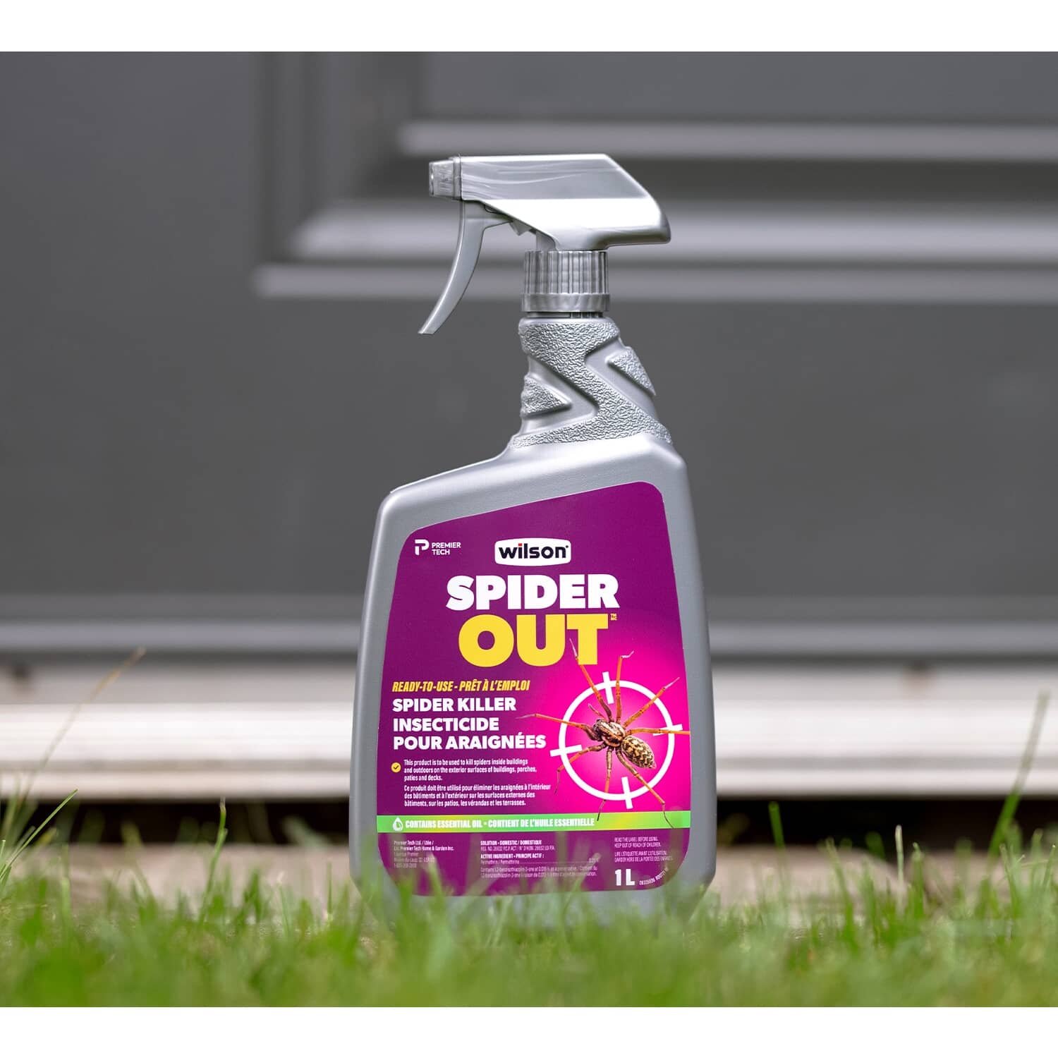 WILSON SpiderOut Spider Killer Spray | Home Hardware