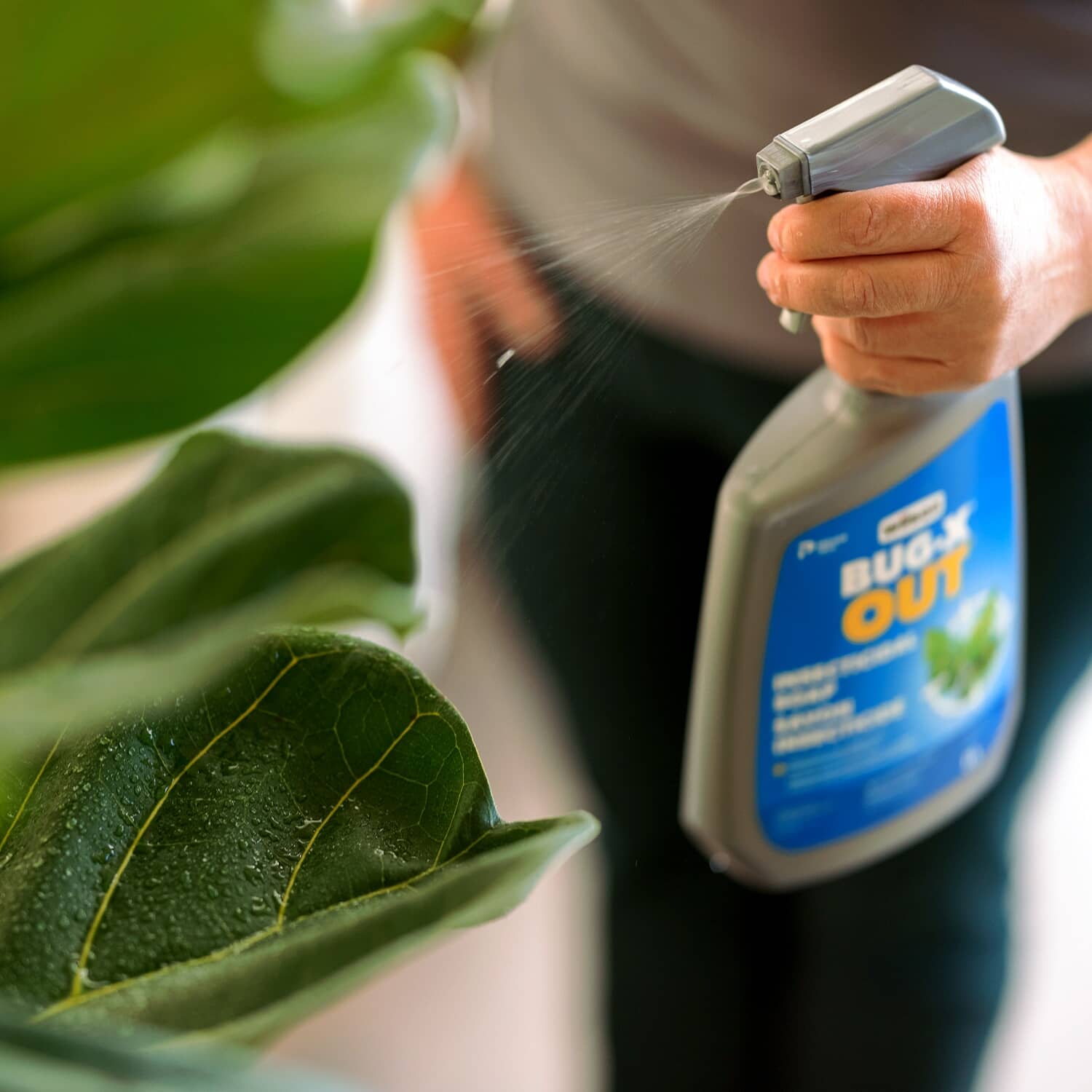 WILSON Bug-X OUT Insect Spray - 1 L | Home Hardware