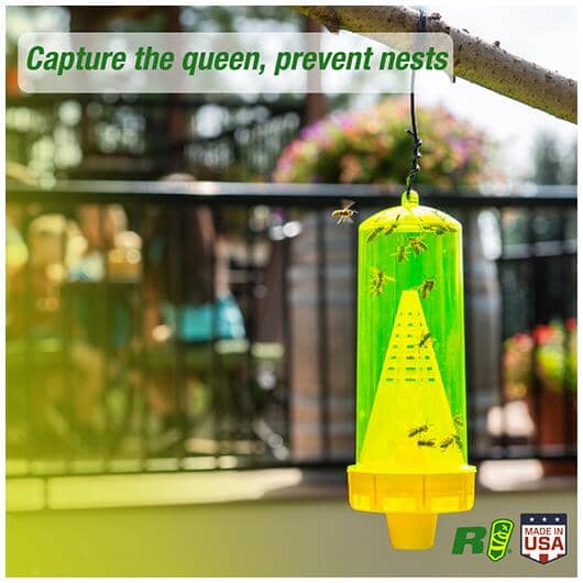 RESCUE Reusable Yellowjacket Trap | Home Hardware