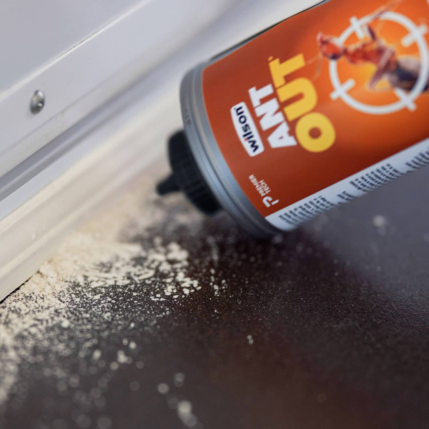 WILSON AntOut Ant Killer Dust - 200 g | Home Hardware