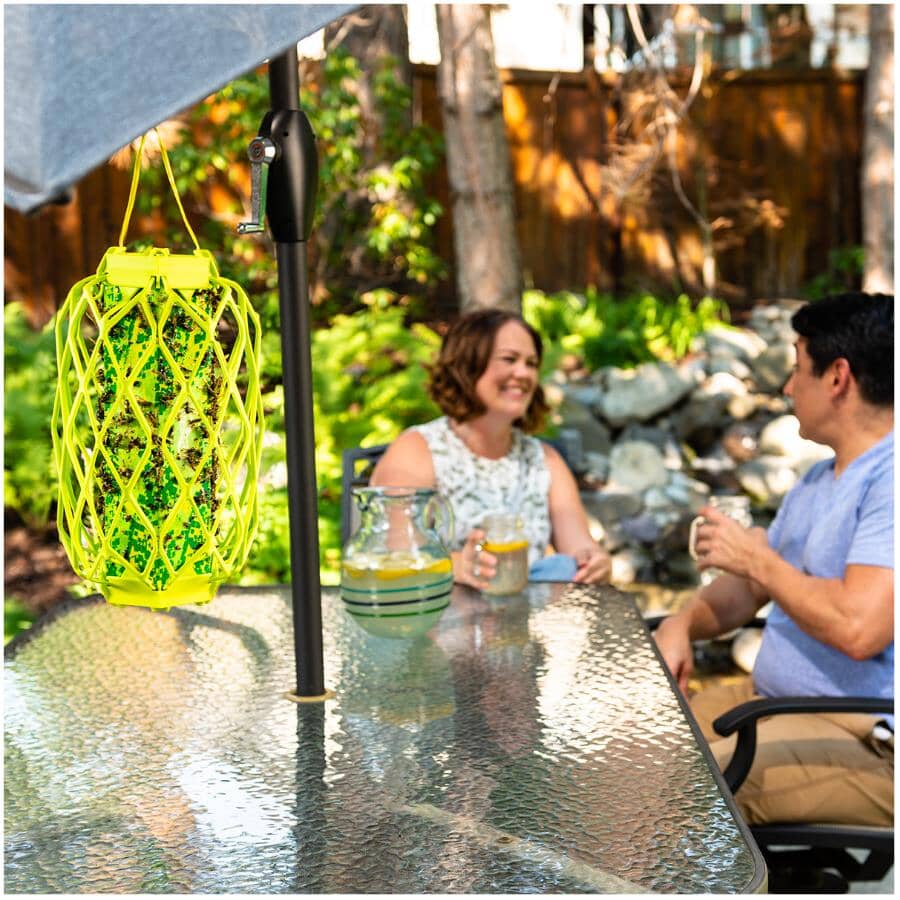 RESCUE TrapStik Wasp Trap | Home Hardware