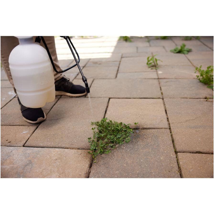 ROUNDUP Concentrated Grass and Weed Control Herbicidal Soap | Home Hardware