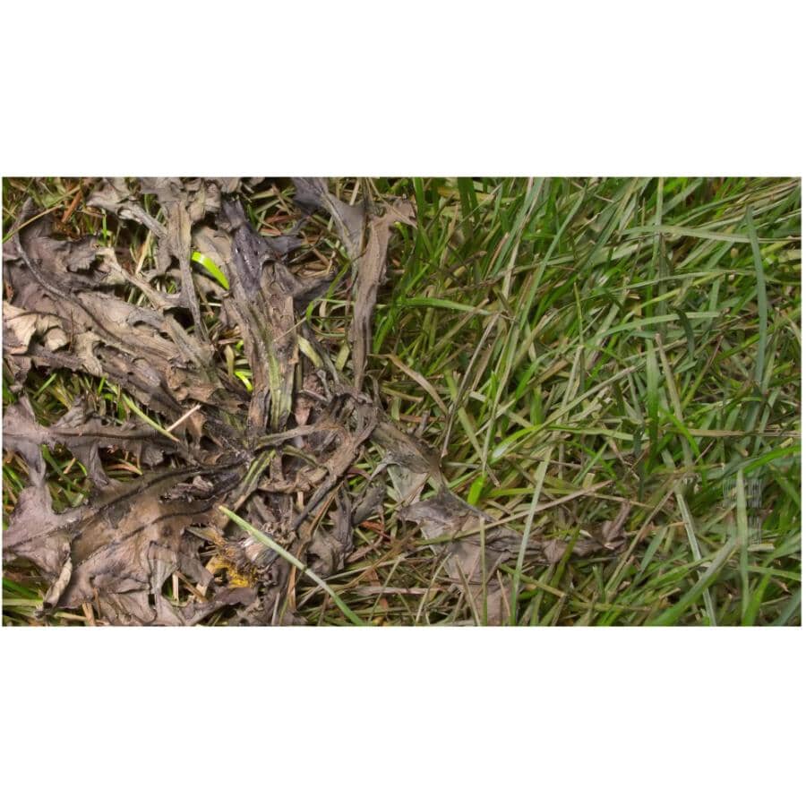 SCOTTS Weed B Gon Max Weed Control Herbicide | Home Hardware