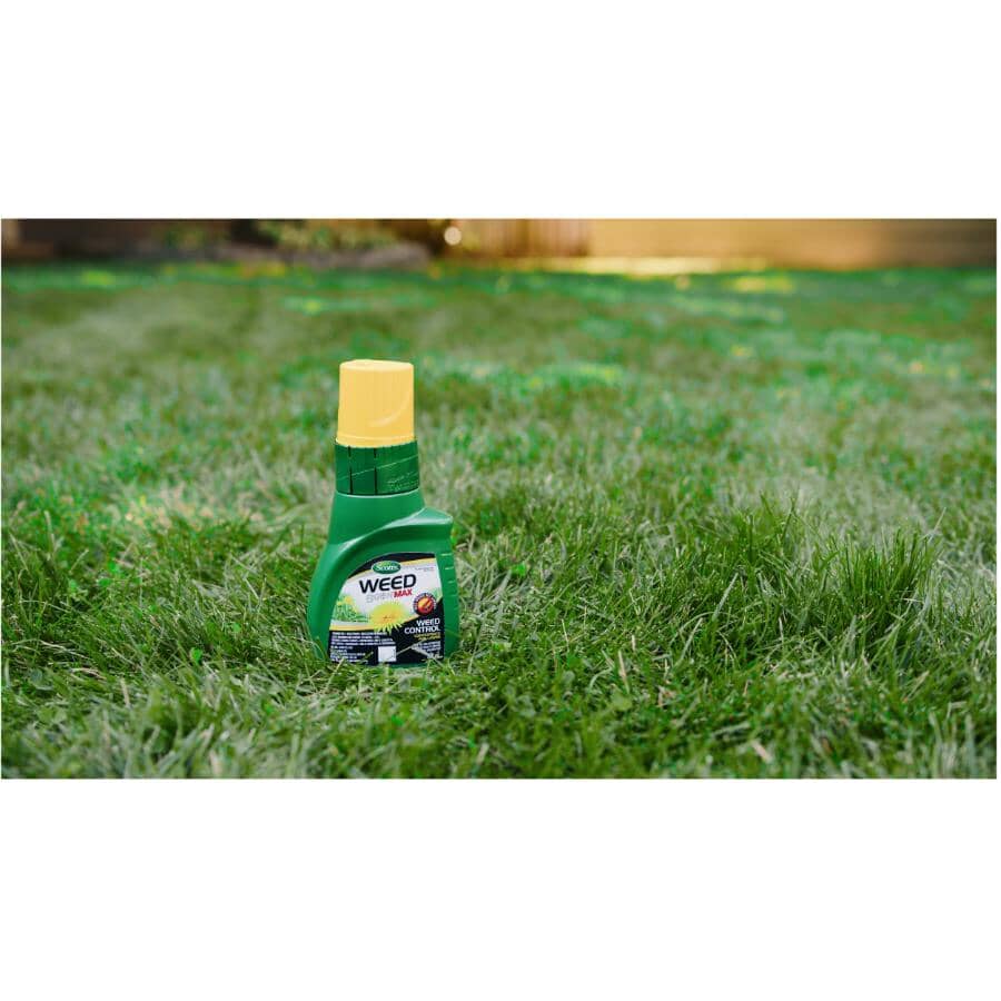 SCOTTS Weed B Gon Max Weed Control Herbicide Concentrate for Lawns ...