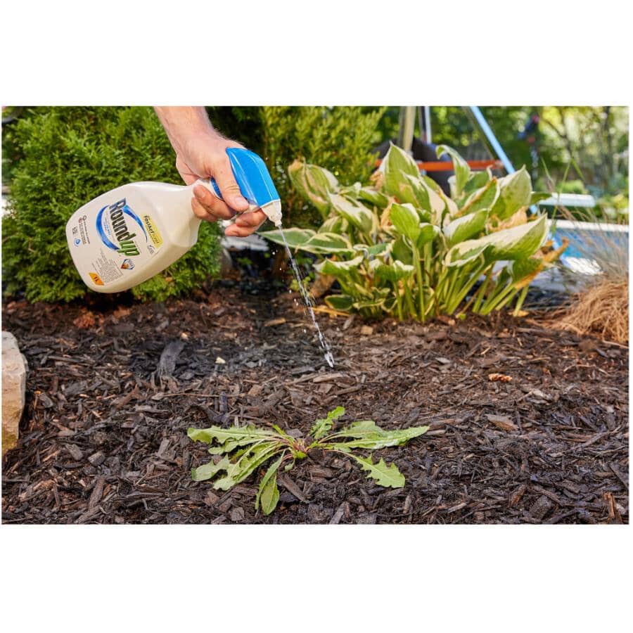 ROUNDUP Non | Home Hardware