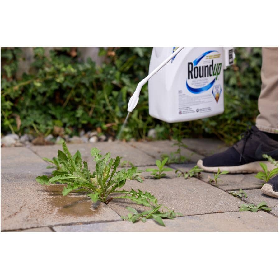 ROUNDUP Ready | Home Hardware