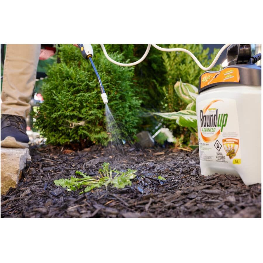 ROUNDUP Pump 'N Go Advanced Weed Control | Home Hardware