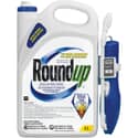 ROUNDUP Grass & Weed Control Herbicide with Wand Applicator | Home Hardware