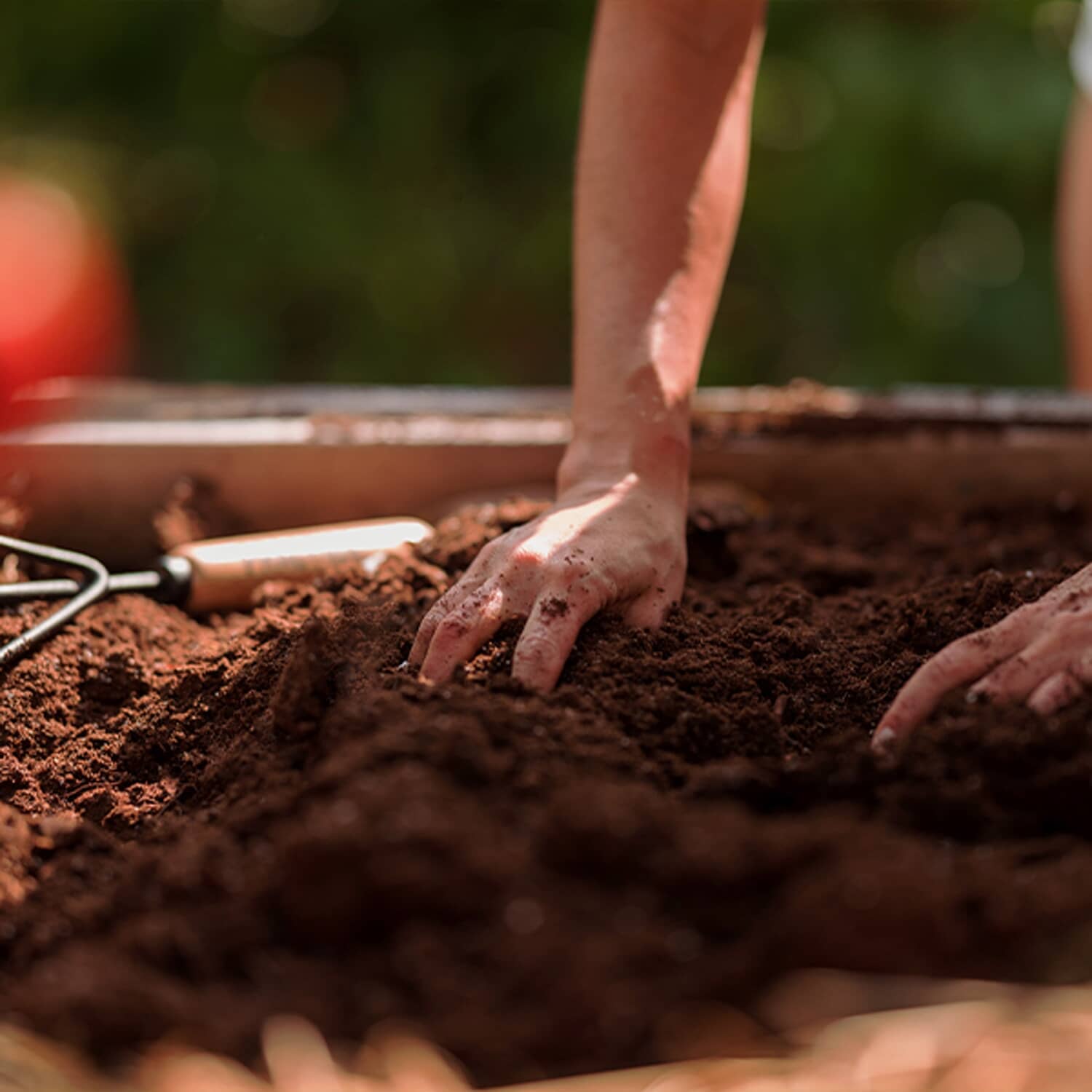 PREMIER Compressed Sphagnum Peat Moss | Home Hardware