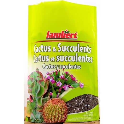 LAMBERT Cactus & Succulents Potting Soil Mix | Home Hardware