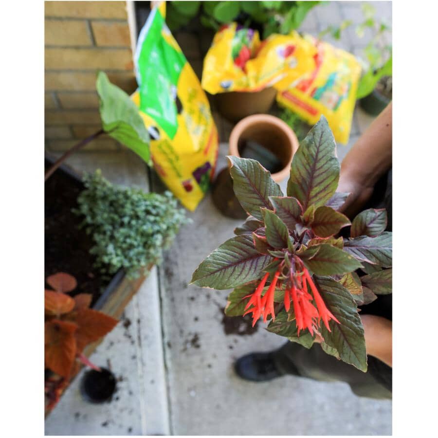 MIRACLE-GRO Potting Soil Mix - 50 L | Home Hardware