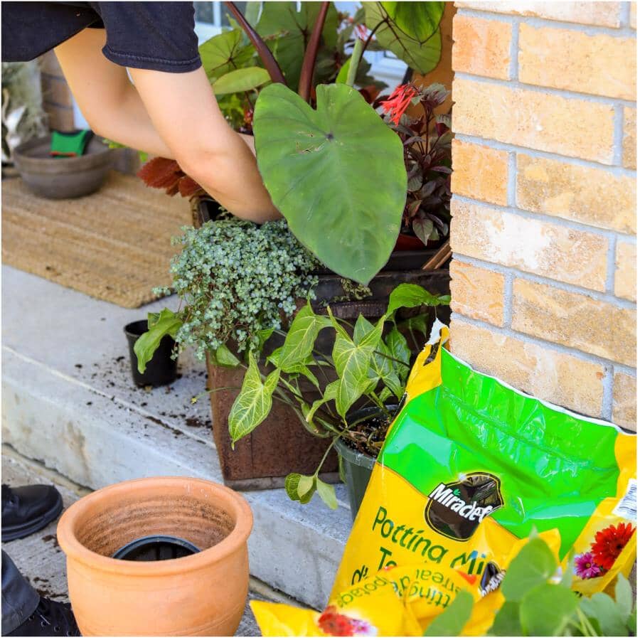 MIRACLE-GRO Potting Soil Mix - 50 L | Home Hardware