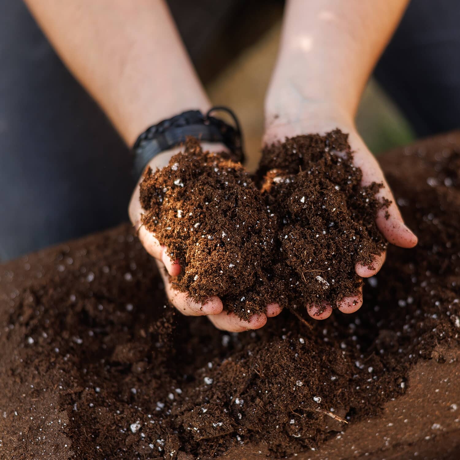 PRO-MIX Container Potting Soil Mix | Home Hardware