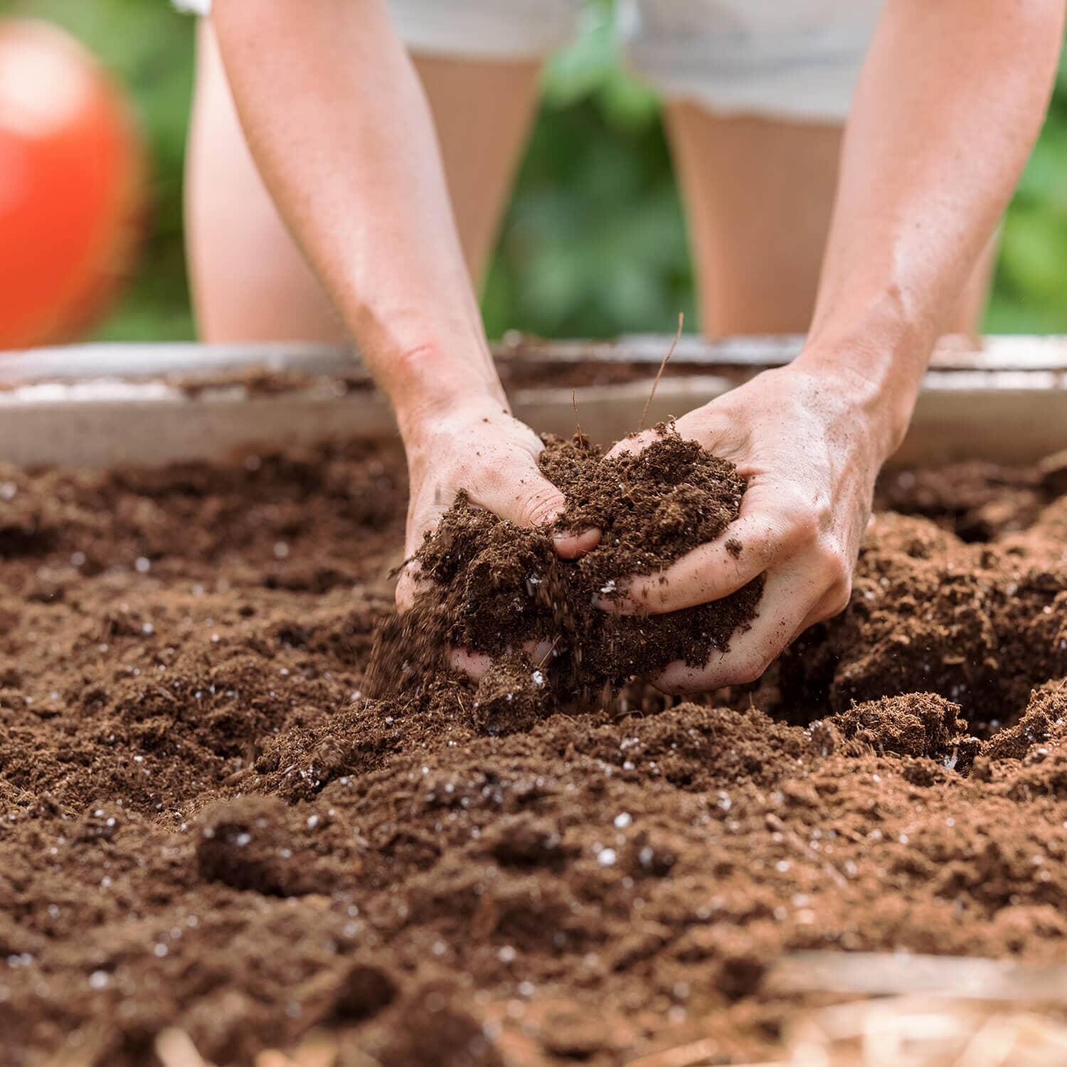 PRO-MIX General Purpose Mycorrhizae Soil Mix | Home Hardware