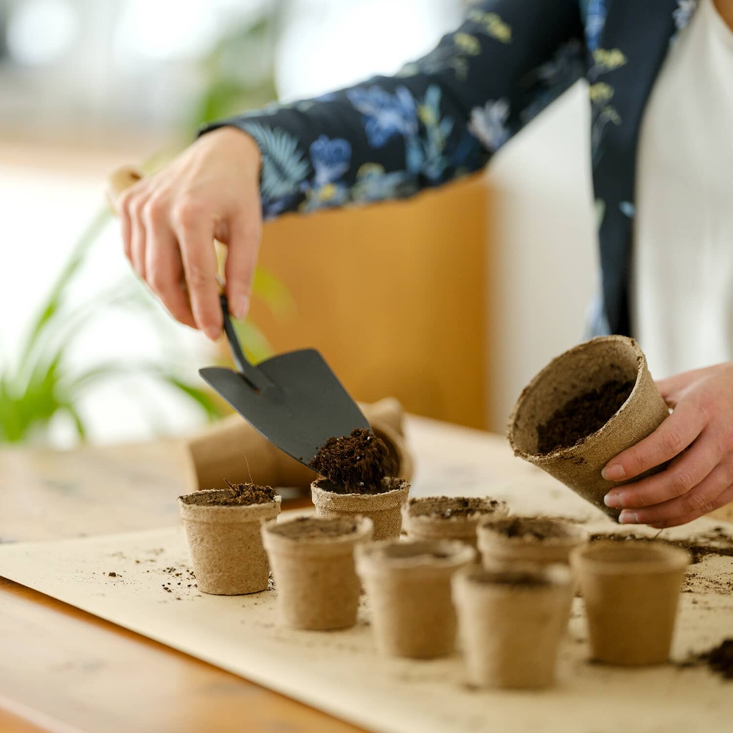 PRO-MIX Premium Seed Starting Potting Soil Mix | Home Hardware