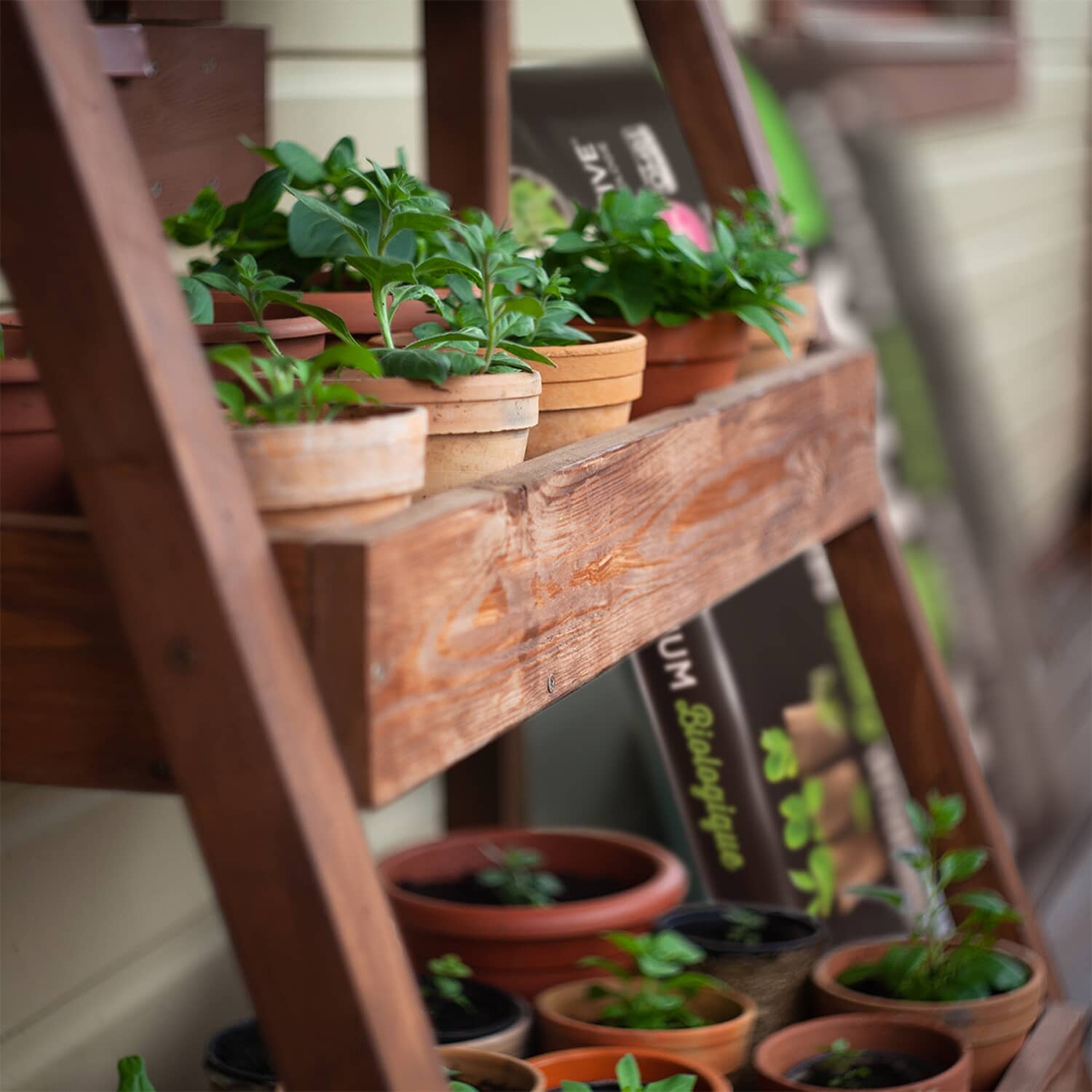 PRO-MIX Premium Seed Starting Potting Soil Mix | Home Hardware