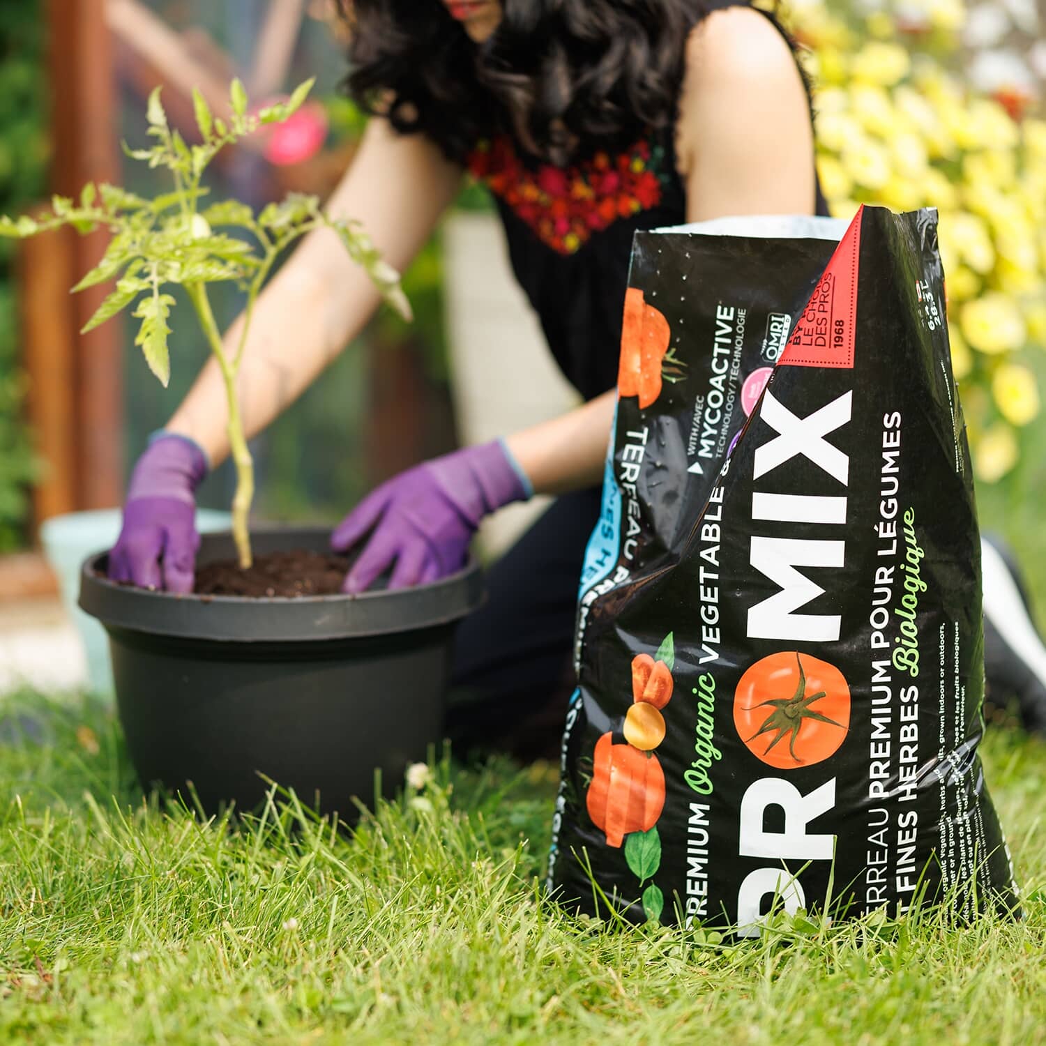 PRO-MIX Vegetable & Herb Organic Soil | Home Hardware