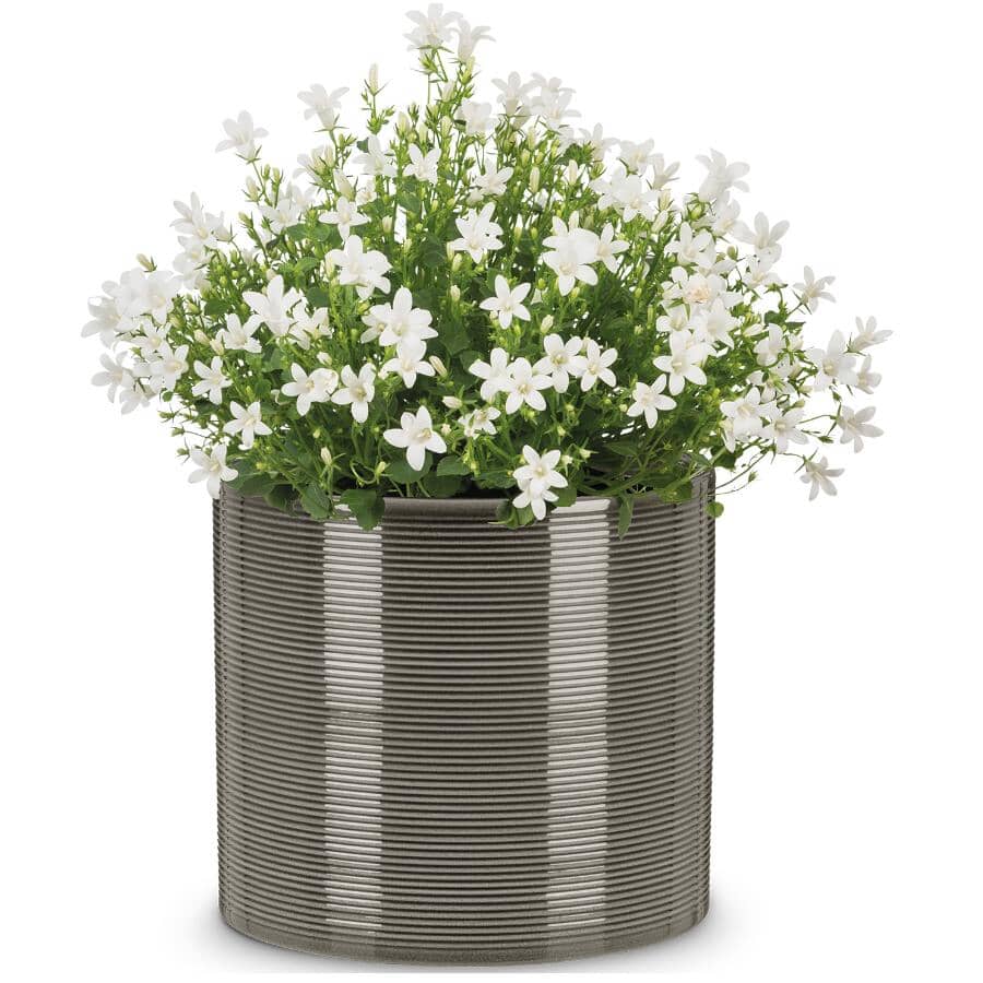 SCHEURICH 6.3" Grey Glass Fashionista Ceramic Planter | Home Hardware