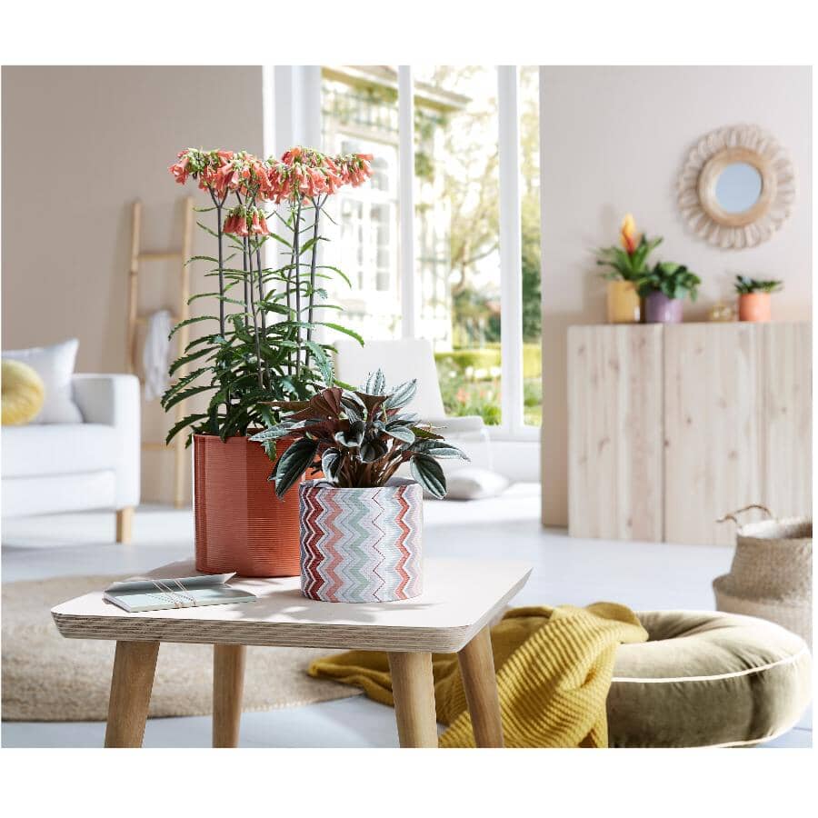 SCHEURICH 4.7" Papaya Fashionista Ceramic Planter | Home Hardware