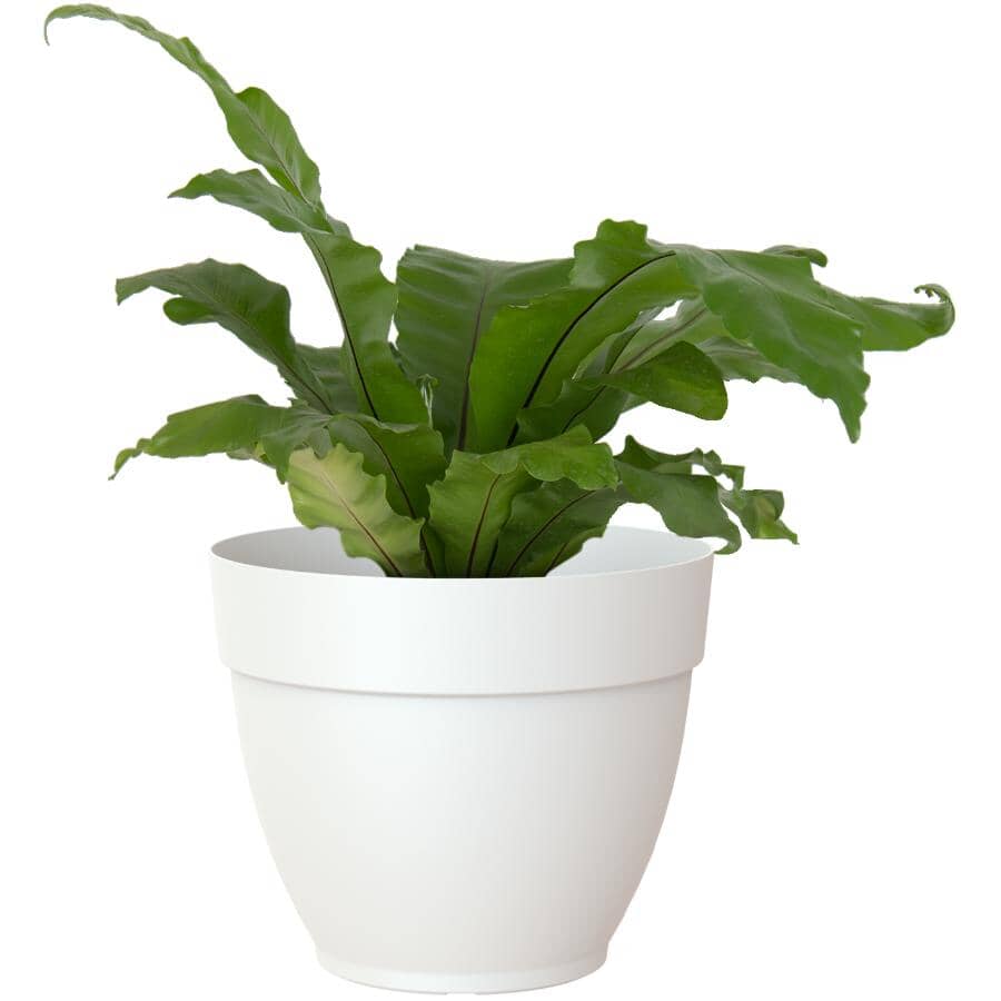 ARTEVASI 12" Capri Campana Round Planter | Home Hardware