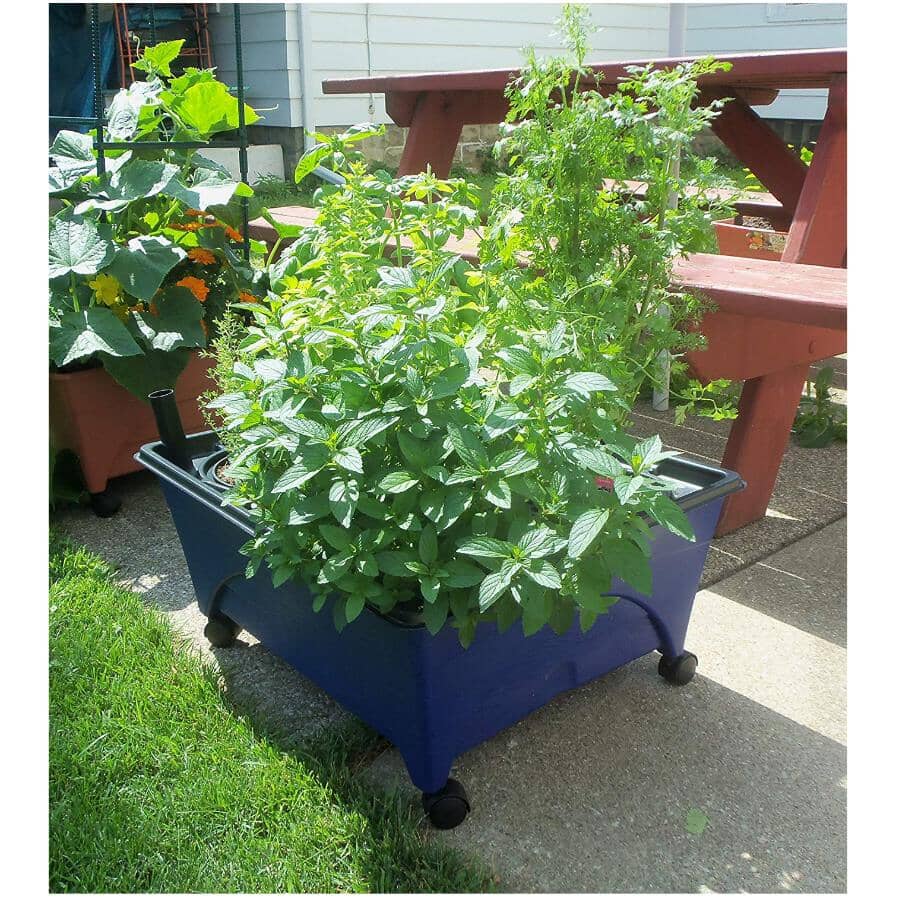 PATIO PICKERS Hydroponic Raised Garden Planter Kit | Home Hardware