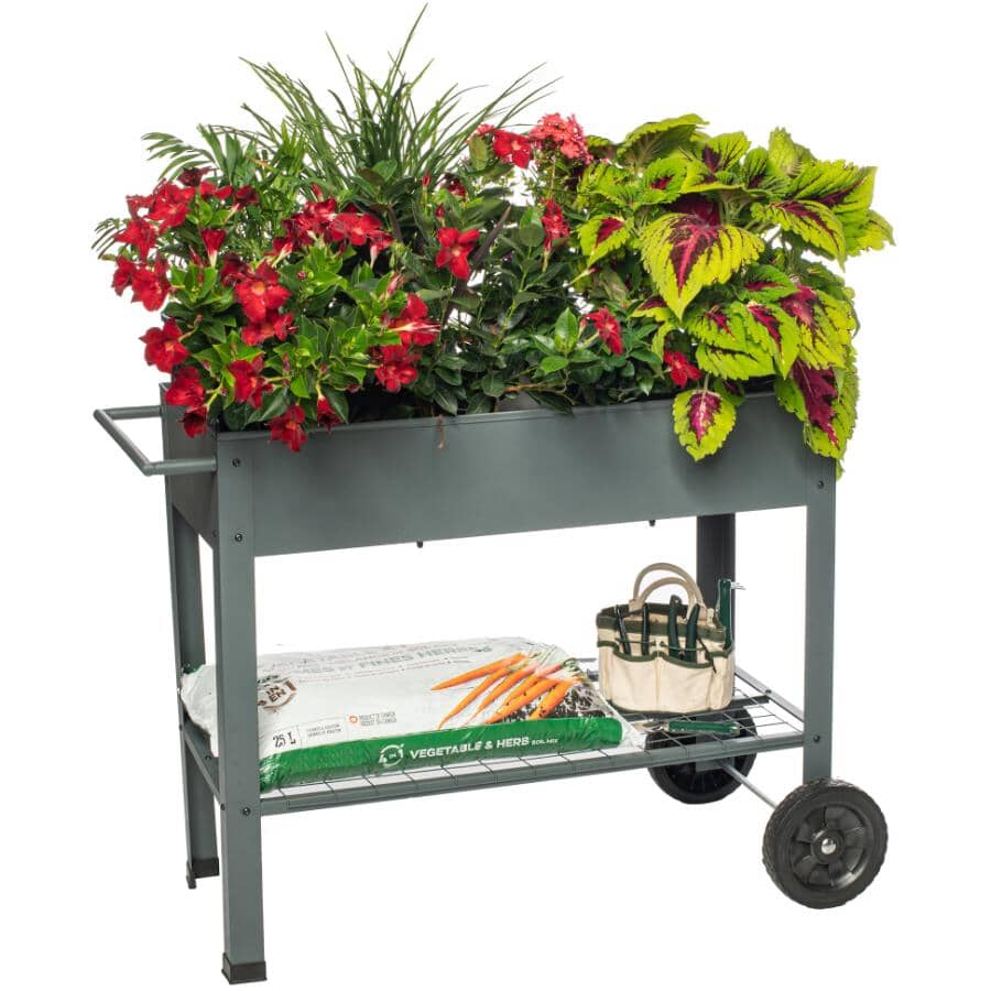 NUVUE Mobile Vertical Garden with Handle | Home Hardware