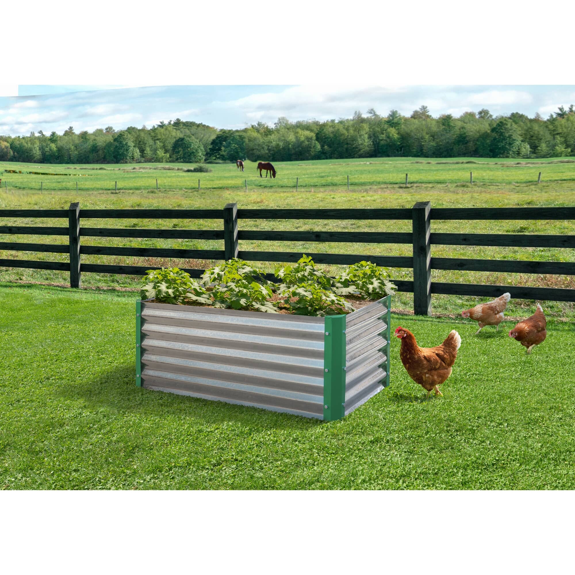 MIRACLE-GRO 20" x 40" x 17" Galvanized Raised Garden Bed | Home Hardware