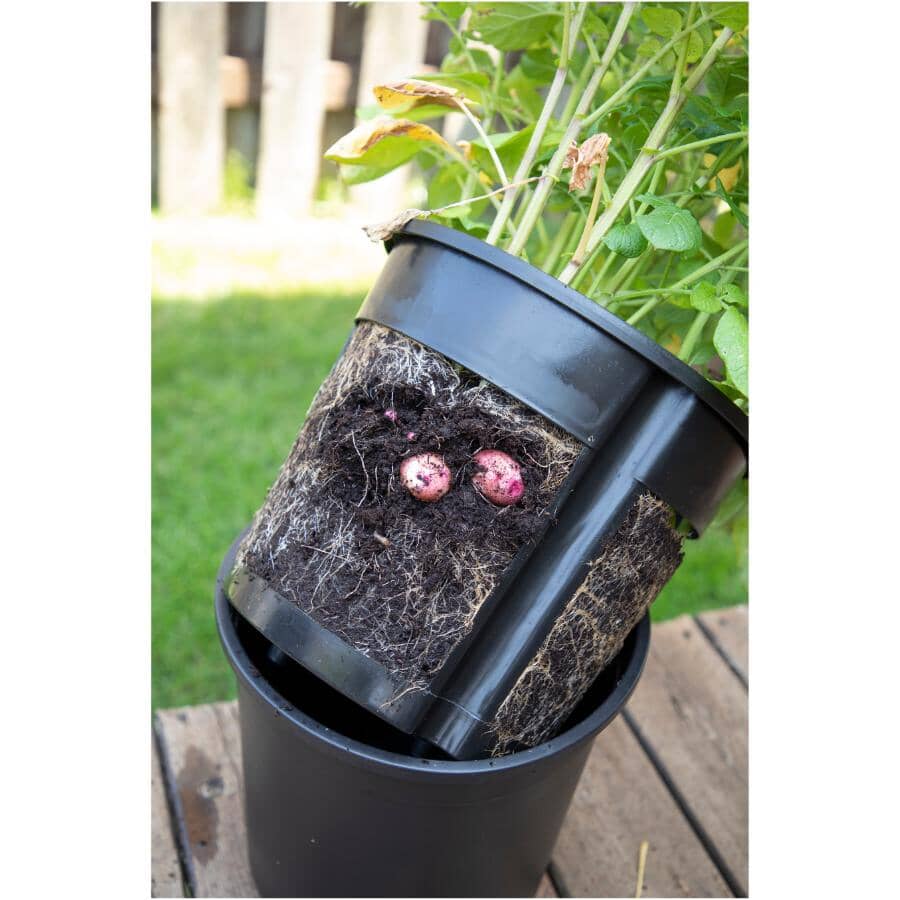 MCKENZIE Potato Harvest Planter | Home Hardware