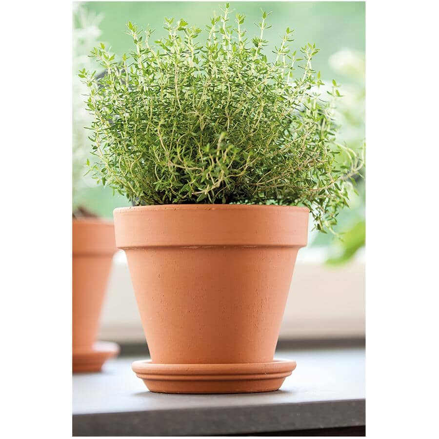 ARTEVASI 6" Standard Clay Planter | Home Hardware