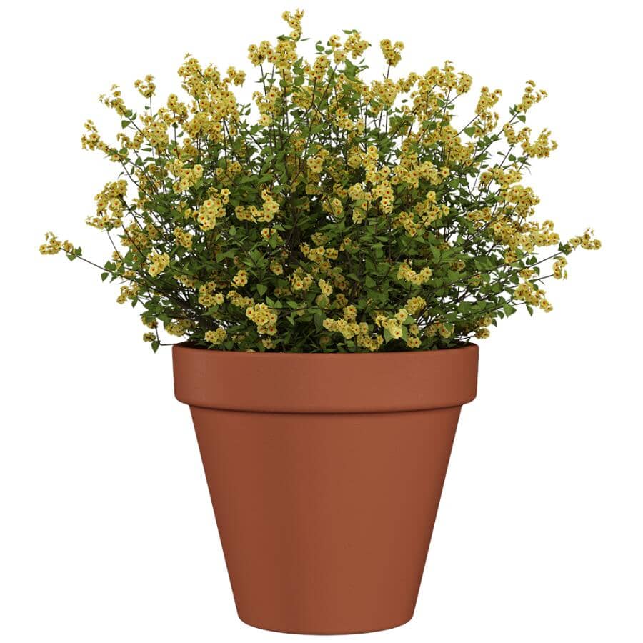 ARTEVASI 12" Standard Clay Planter | Home Hardware