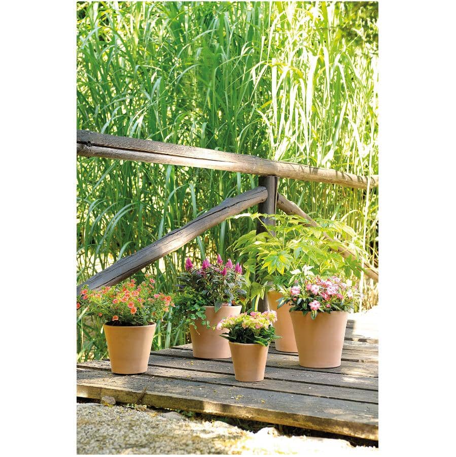 DEROMA 6.3" Cono Clay Pot | Home Hardware