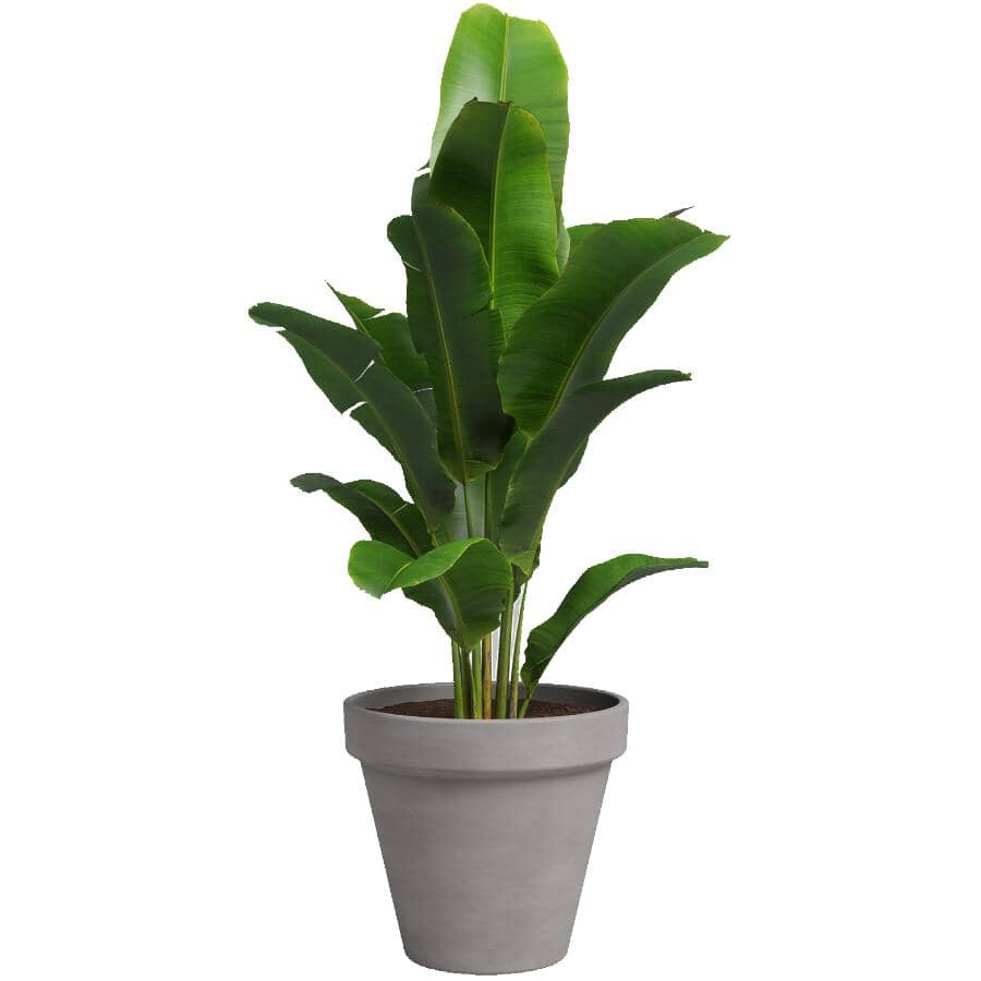 ARTEVASI 11" Amalia Clay Pot - Vulcano | Home Hardware